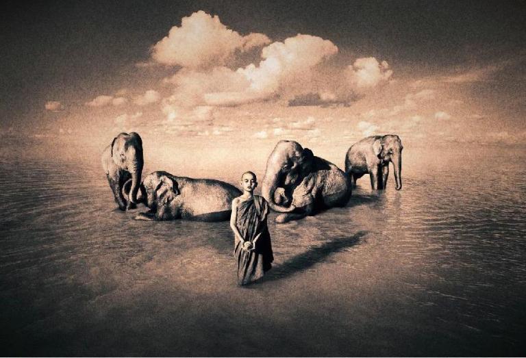 GREGORY COLBERT (photographe) | BIENVENUE AU PAYS DES MILLE ET UNE NUIT