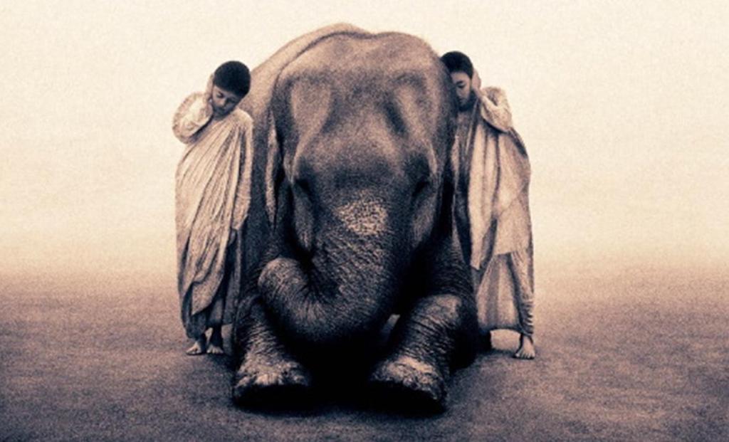 GREGORY COLBERT (photographe) | BIENVENUE AU PAYS DES MILLE ET UNE NUIT